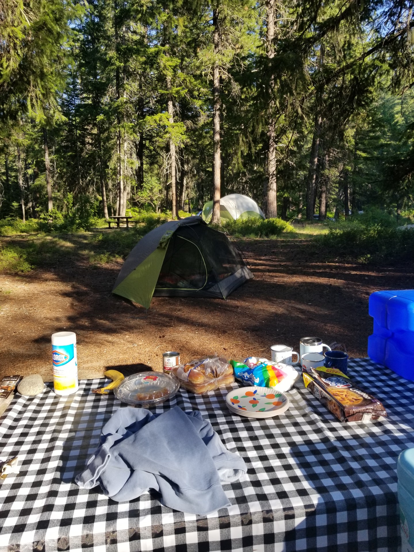 Camping at Lake Wenatchee – Adventures with the Yells