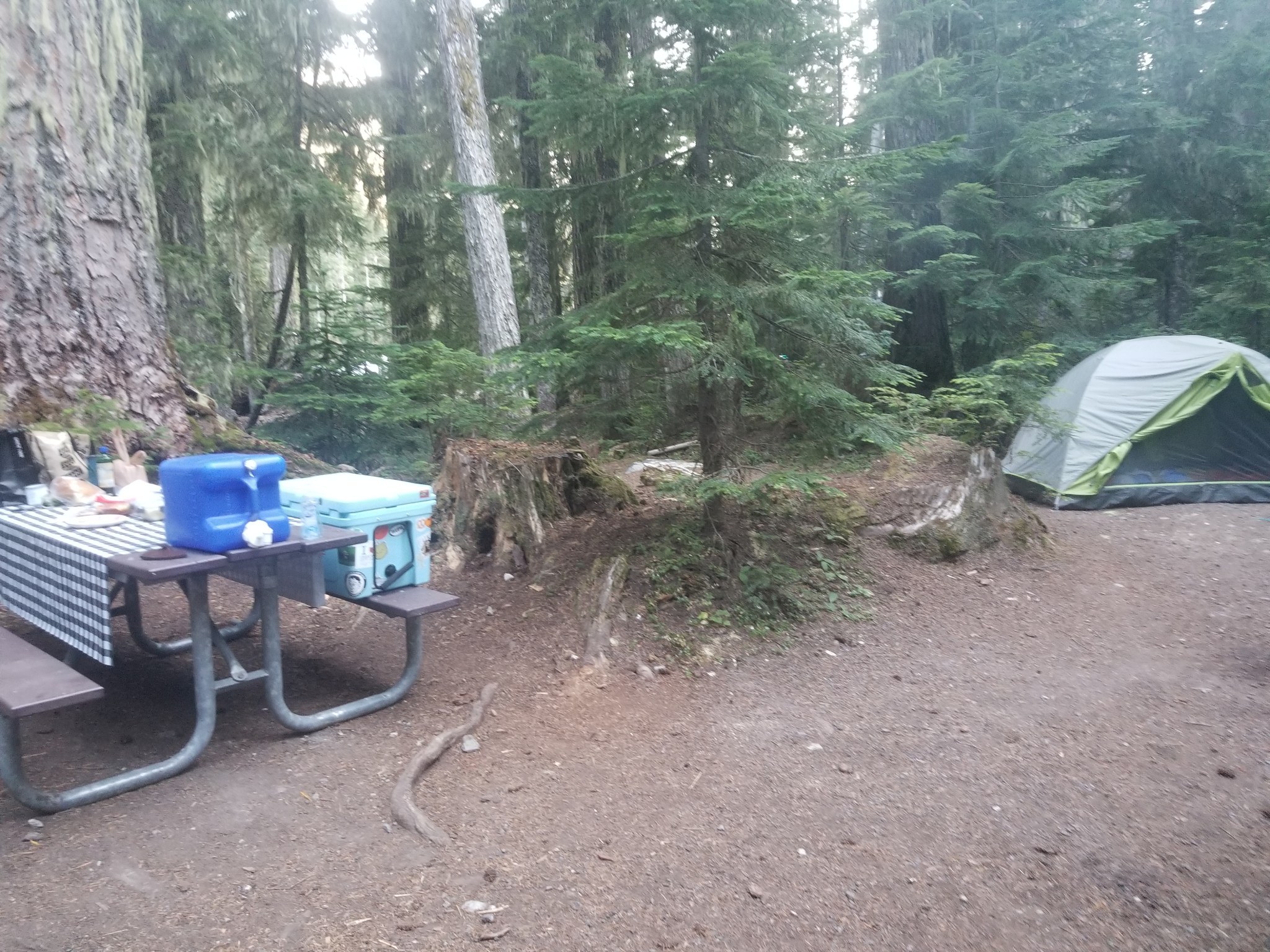 Sunrise Visitor Center – Mt. Rainier National Park – Adventures with ...